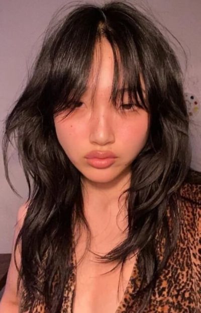 40+ Awesome Wolf Haircut Ideas for Women in 2023